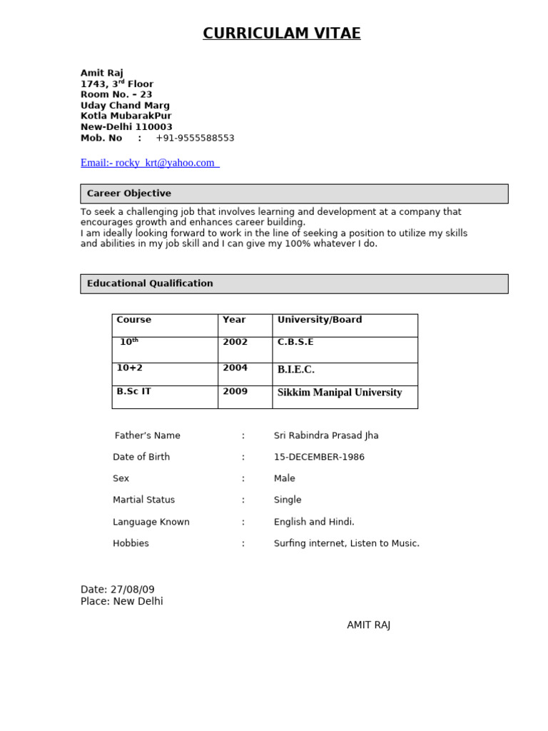 Amit Raj's Resume | PDF