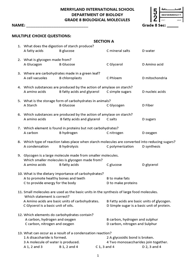 Grade 8 Biology: Biological Molecules Quiz | PDF | Dna | Carbohydrates