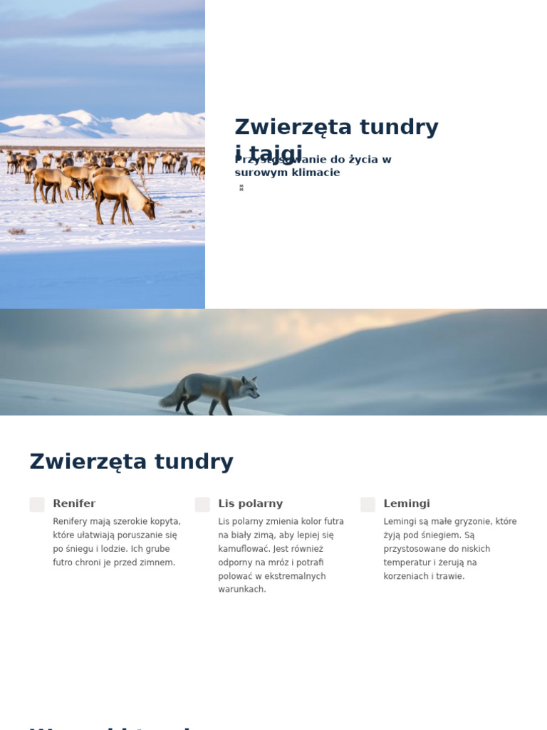Zwierzeta Tundry I Tajgi | PDF