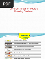 Poultry Fold Video | PDF