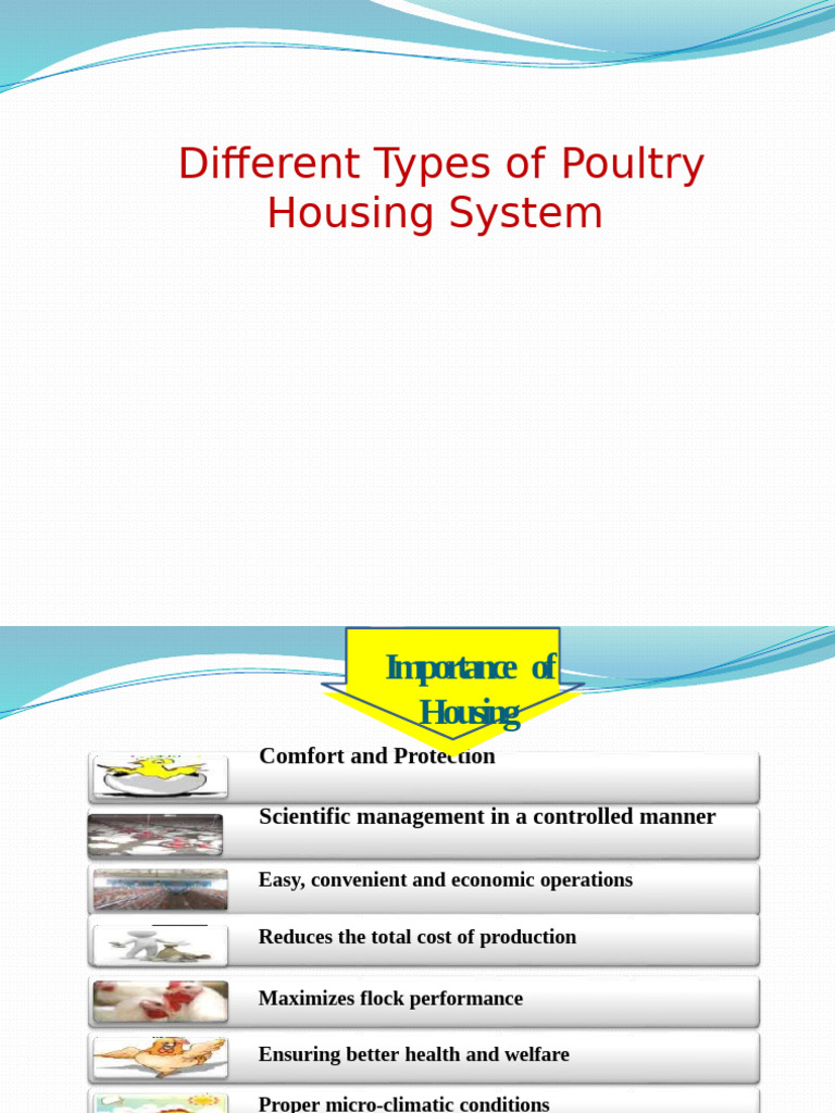 Types of Poultry Housing Systems | PDF | Poultry Farming