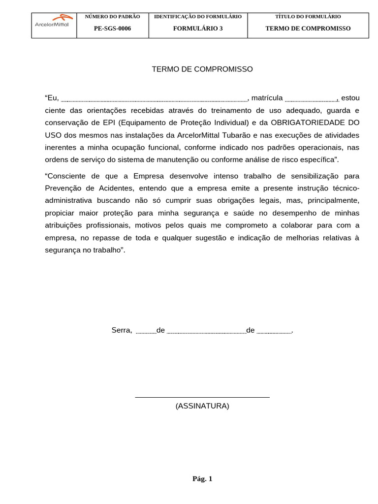 Formulário 3 - Termo de Compromisso | PDF