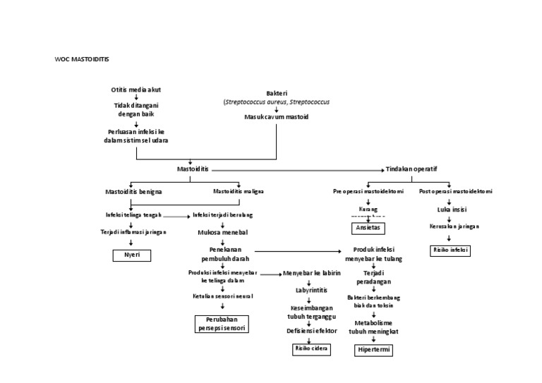 F 13693 Woc-Mastoiditis | PDF