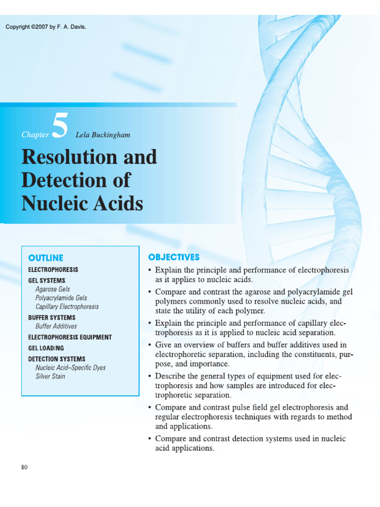 5.resolution of Nucleic Acids | PDF