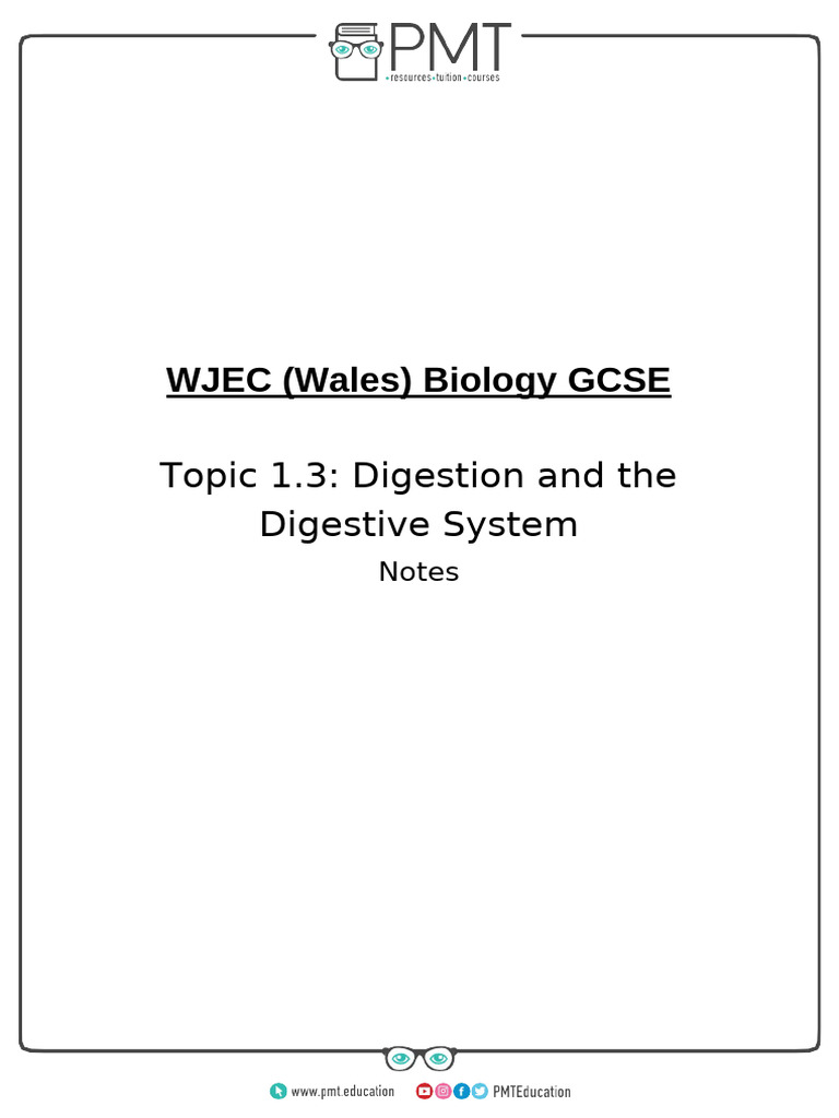 Digestion and the Digestive System Guide | PDF | Digestion | Human ...