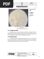 Partes y características del paramecio | PDF | Bioquímica | Química
