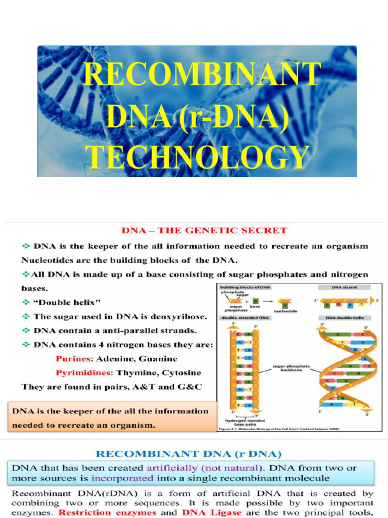 Recombinant DNA technology | PDF