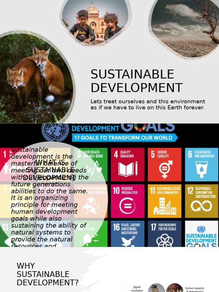 Understanding Sustainable Development | PDF