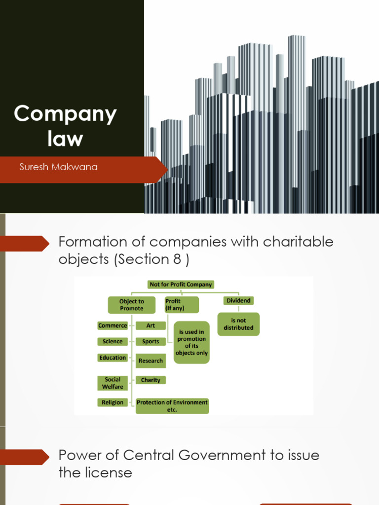 Company Formation and Securities Regulations | PDF | Preferred Stock ...