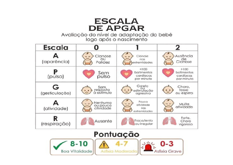 apgar | PDF