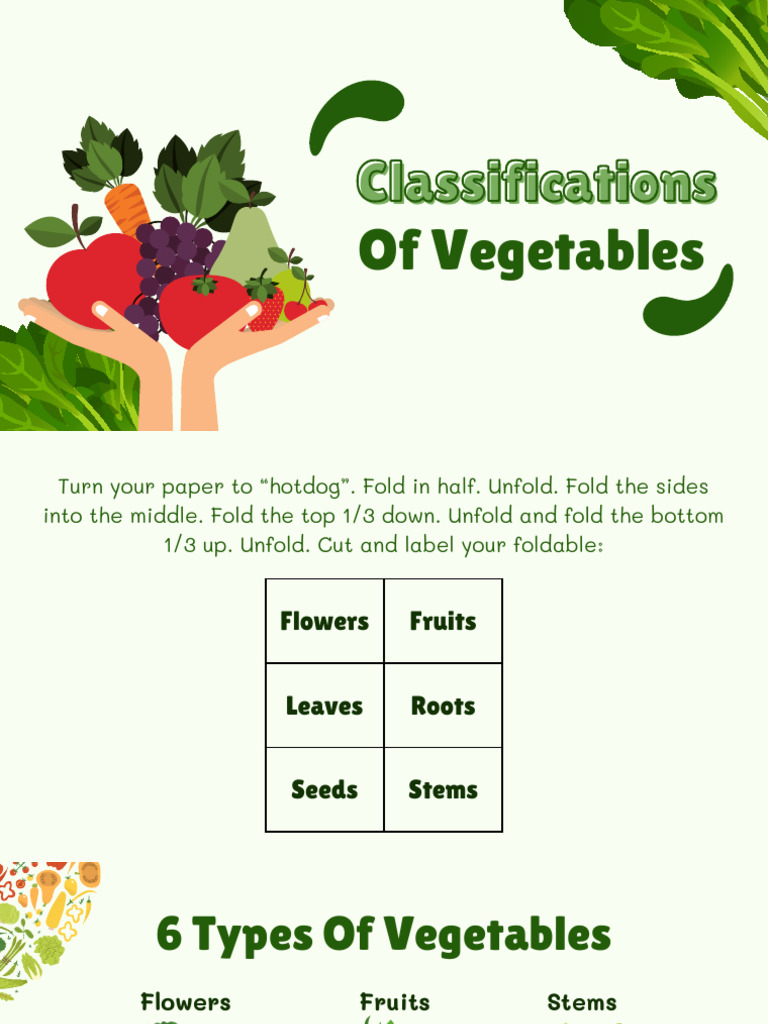 Types of Vegetables: Classifications Guide | PDF