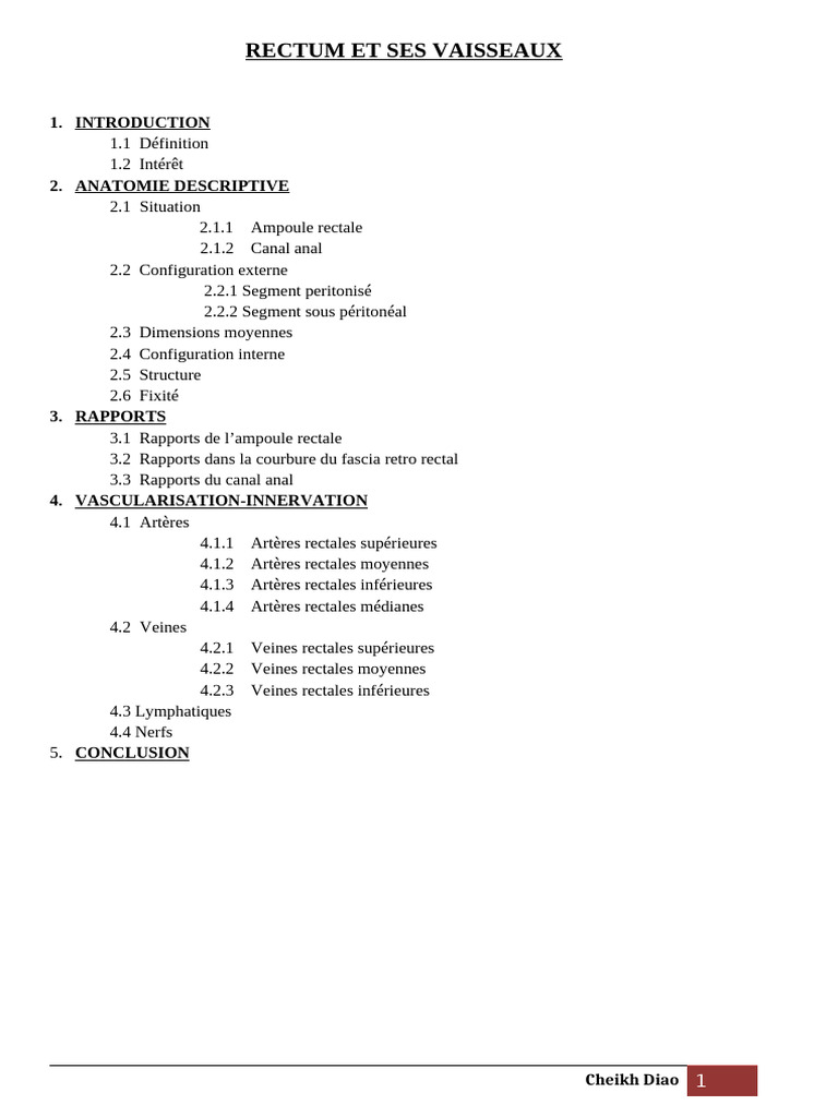 Anatomie et vascularisation du rectum | PDF | Rectum | Bassin (anatomie)