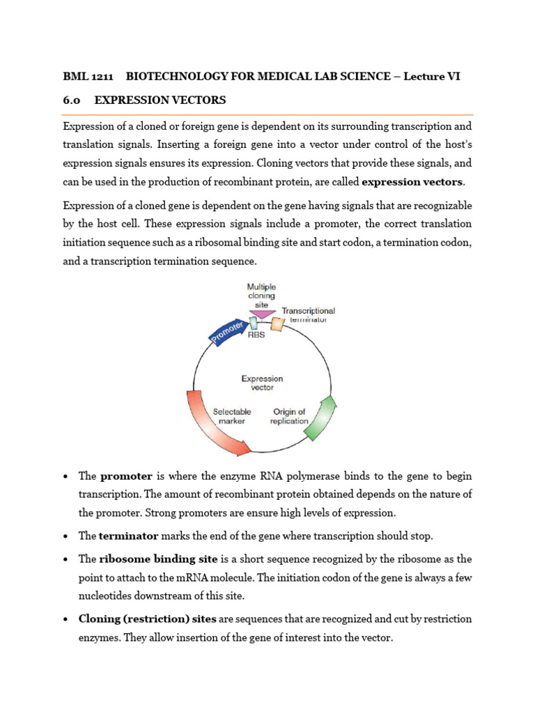 BML 1211 Biotechnology For Medical Lab Science - Lecture VI | PDF ...