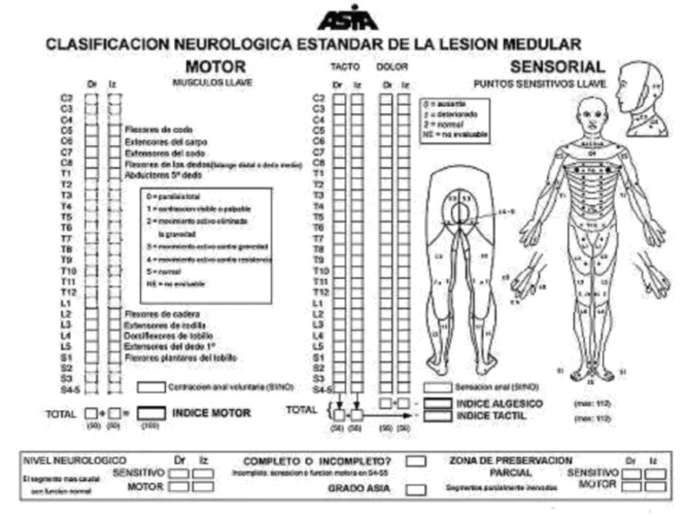 Lesão Medular | PDF