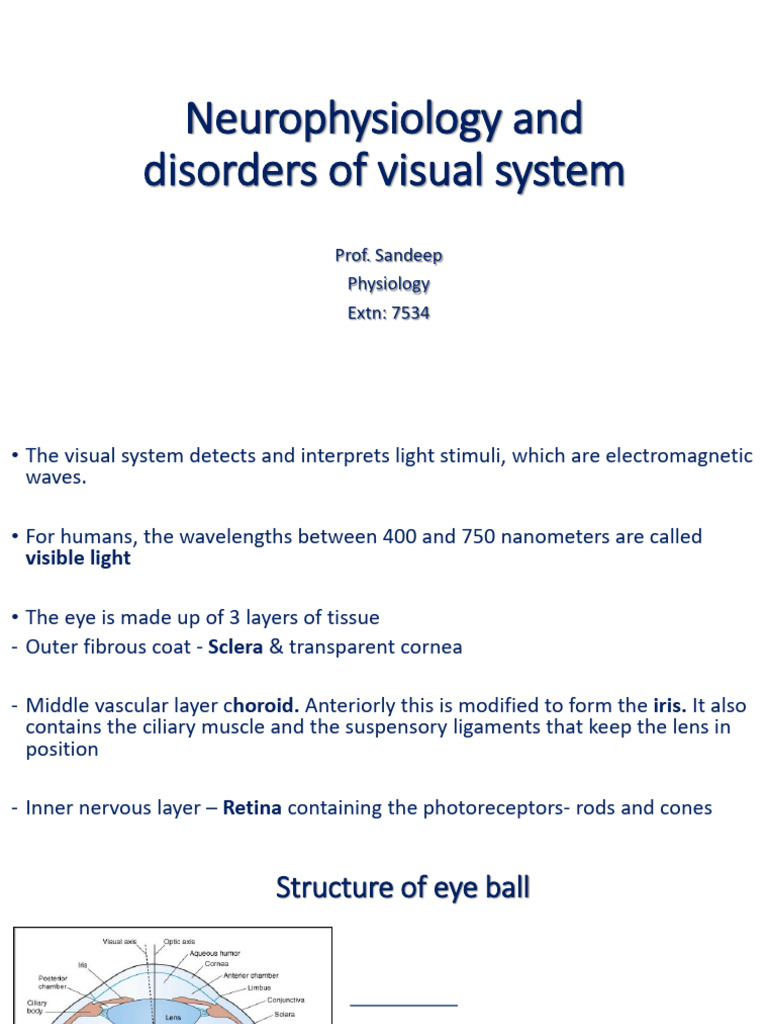 1 - Neurophysiology & Disorders of Visual System | PDF | Visual System | Retina