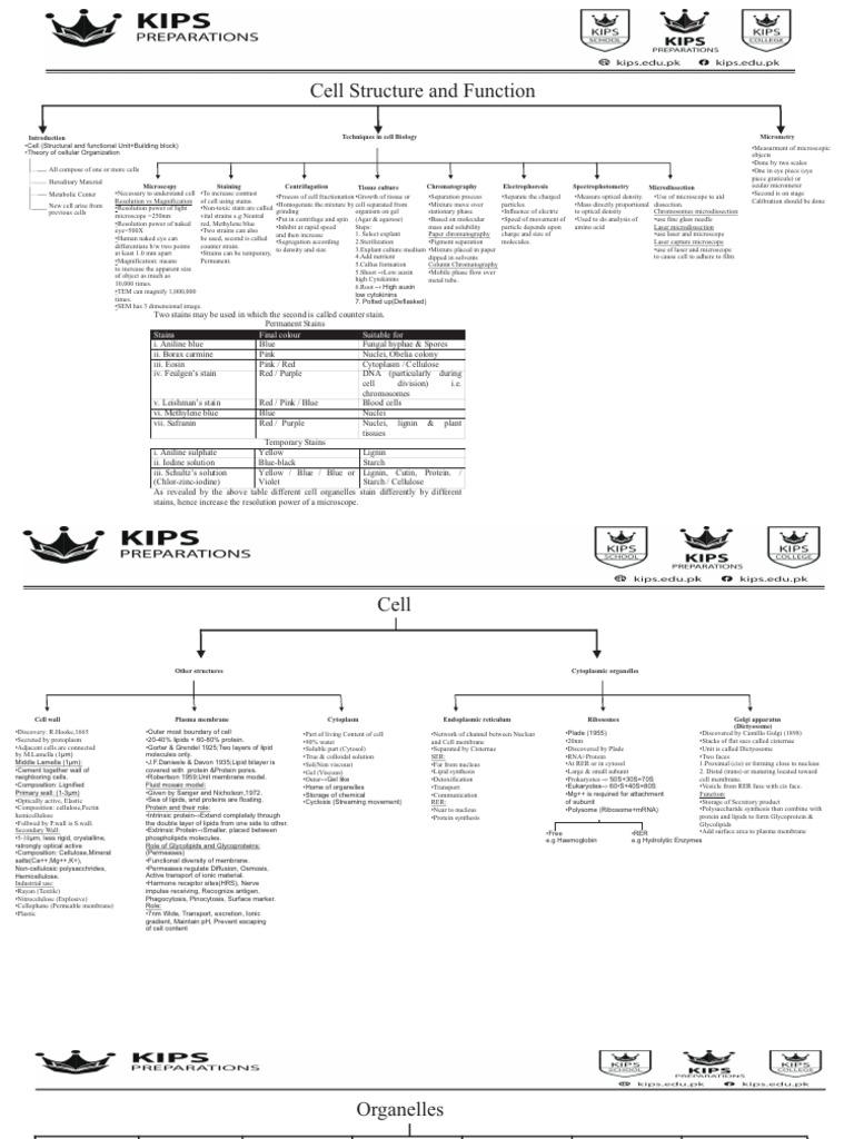 Cell Structure & Function-KIPS | PDF | Cell (Biology) | Staining