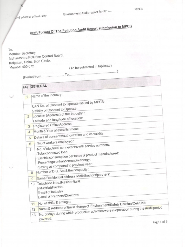 Self Audit Report Format Perfect Pollucon Services | PDF