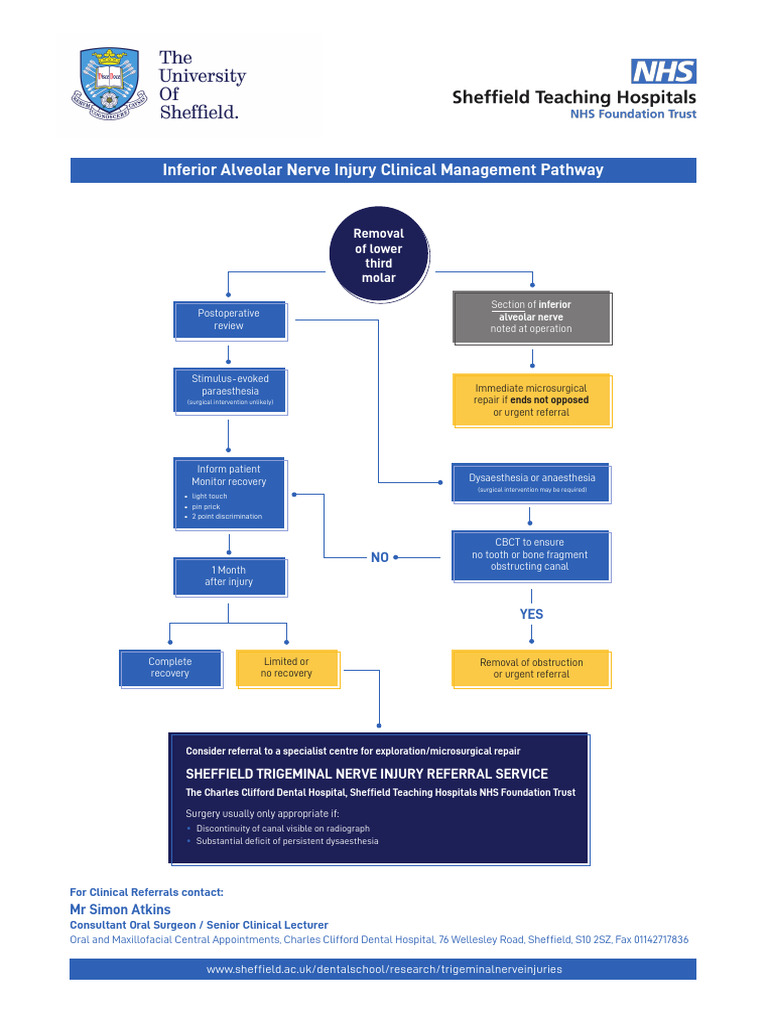 Inferior Alveolar Nerve Injury Guide | PDF | Oral And Maxillofacial ...