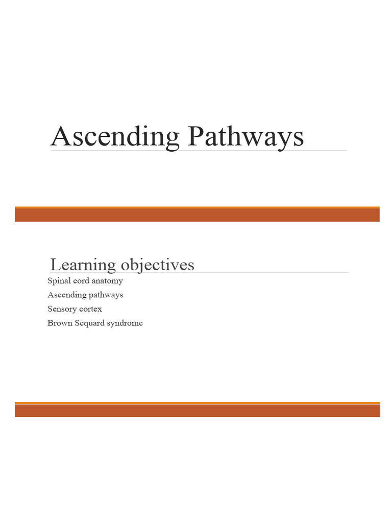 Ascending Pathways - Pptx. of CNS, in PPT Format | PDF | Spinal Cord ...