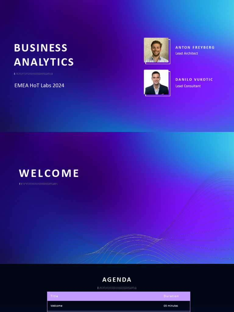 Business Analytics v1.0.1 | PDF | Analytics | Data