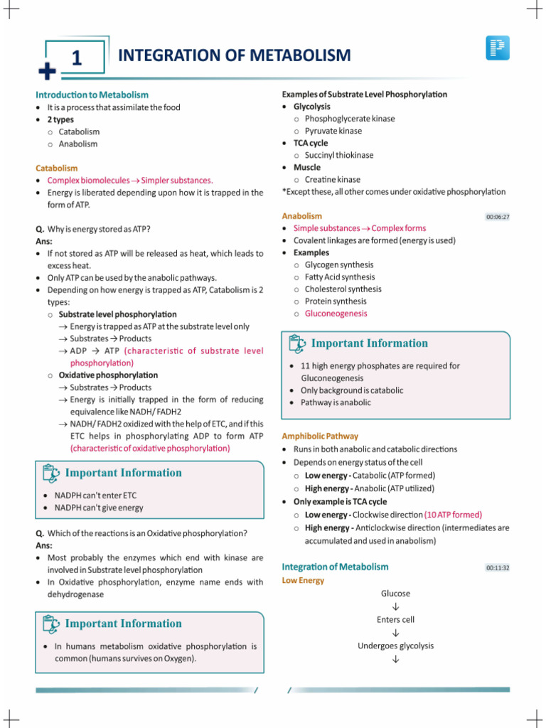 Biochemistry RR Print | PDF