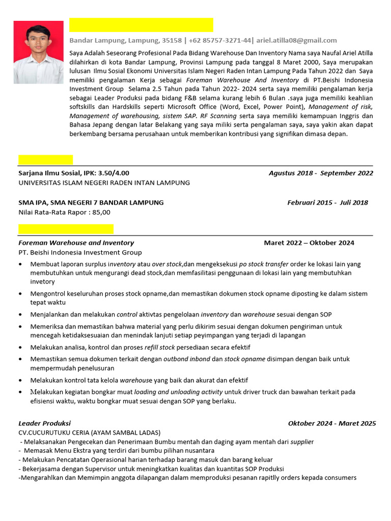 CV Atilla Fixs | PDF