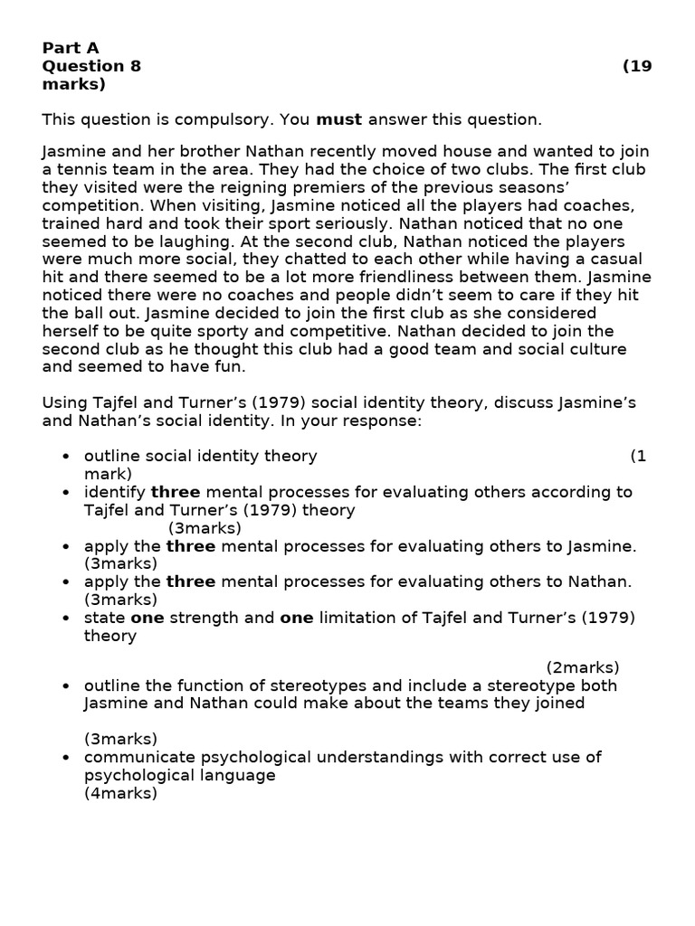 Social Identity Theory Extended Response | PDF