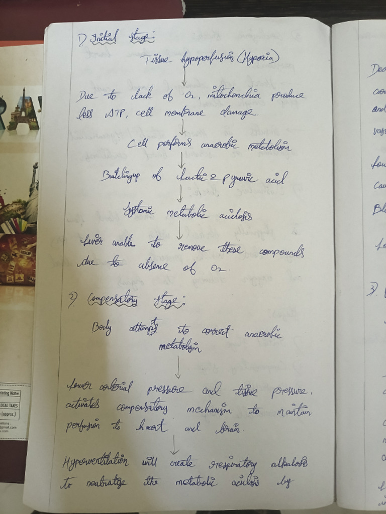 Stages of Shock - Best Handwritten Short Note For Pathology | PDF