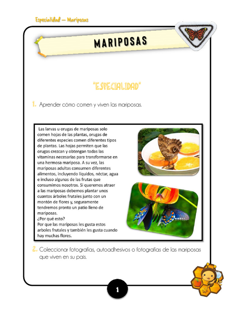 MARIPOSAS | PDF