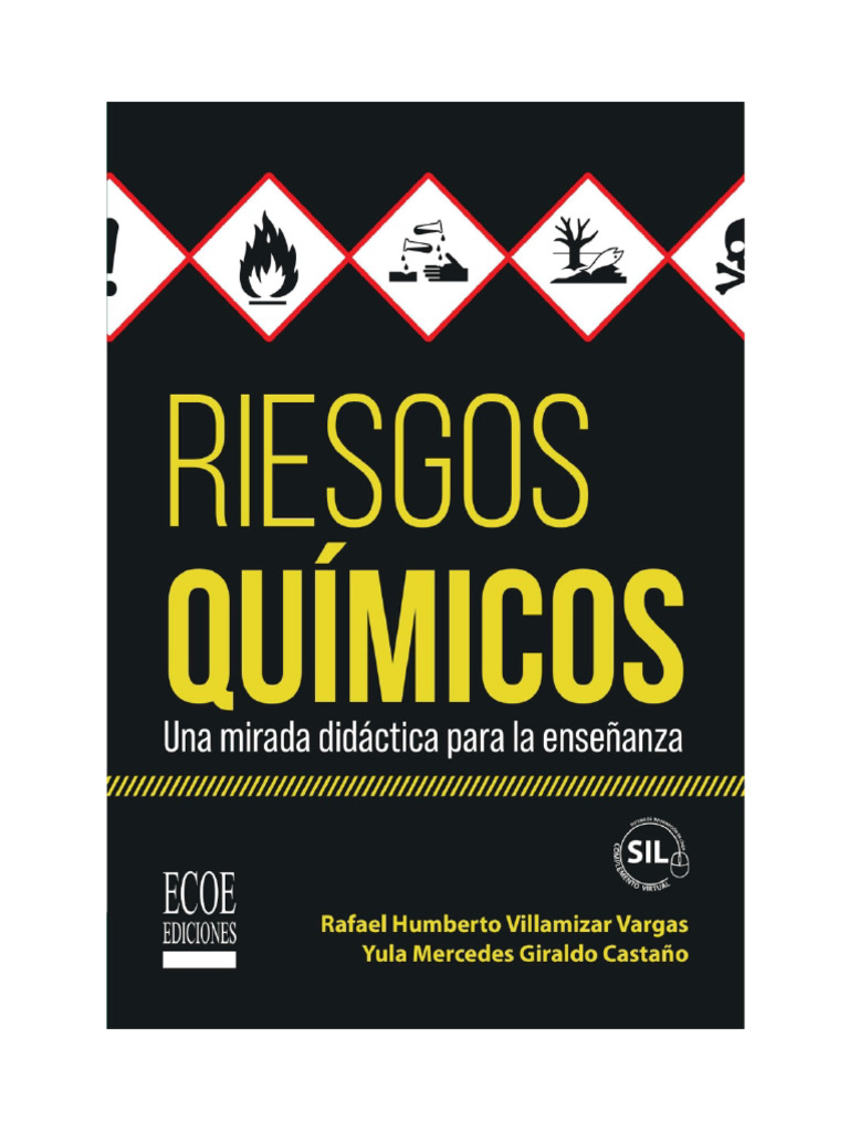 Riesgos Quimicos, Una-mirada Didactica Para-la Ensenanza (ECOE) 2023 - Book | PDF