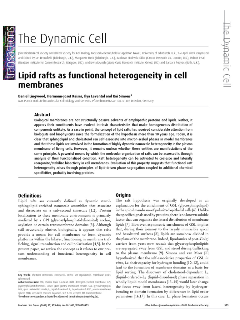 The Dynamic Cell: Lipid Rafts As Functional Heterogeneity in Cell ...