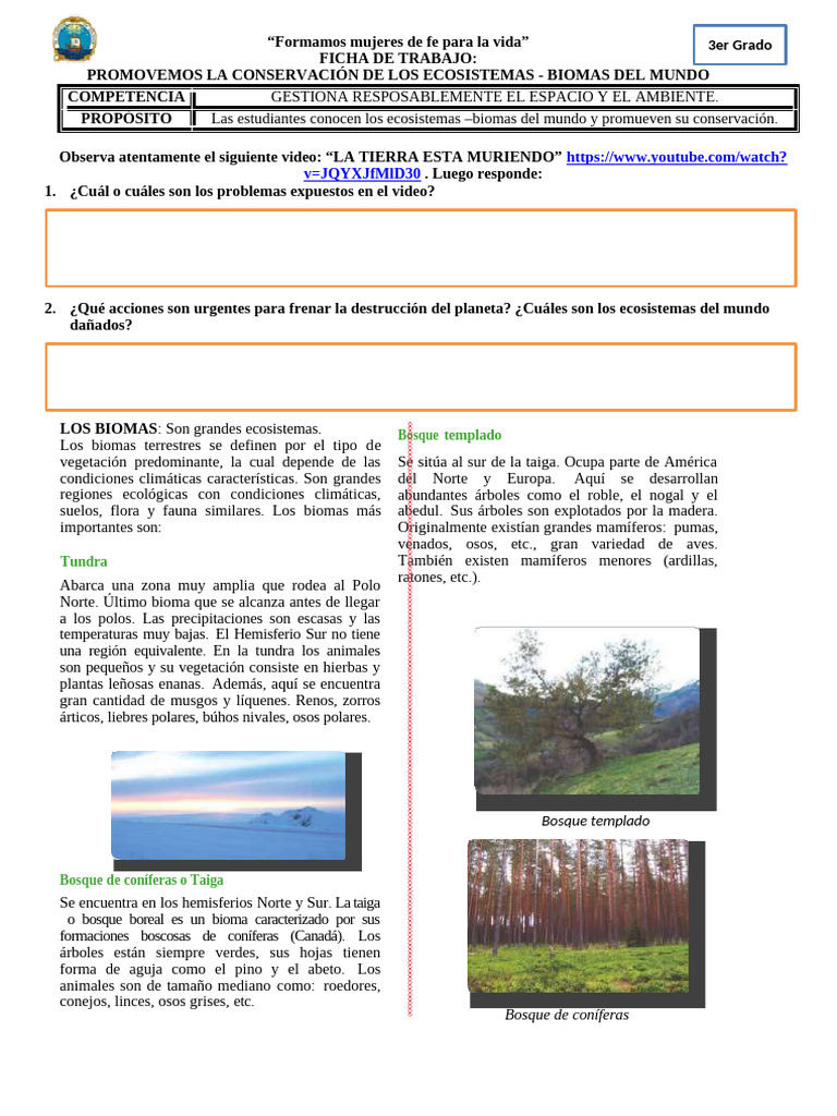 Ficha 2025.biomas | PDF | Sabana | Ecosistema