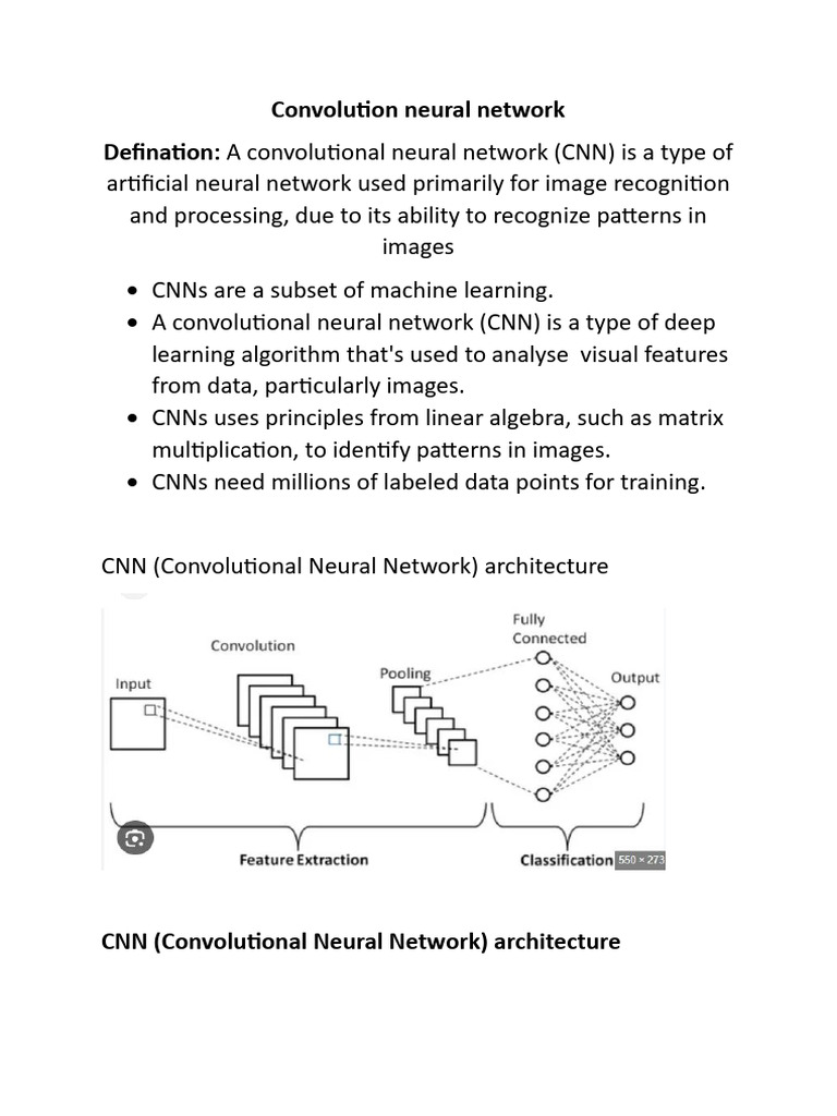 Convolution Neural Network Pdf Computational Neuroscience Computer Vision