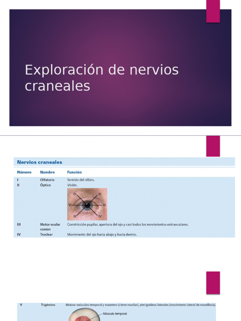 Exploración de nervios craneales | PDF | Percepción visual | Lengua