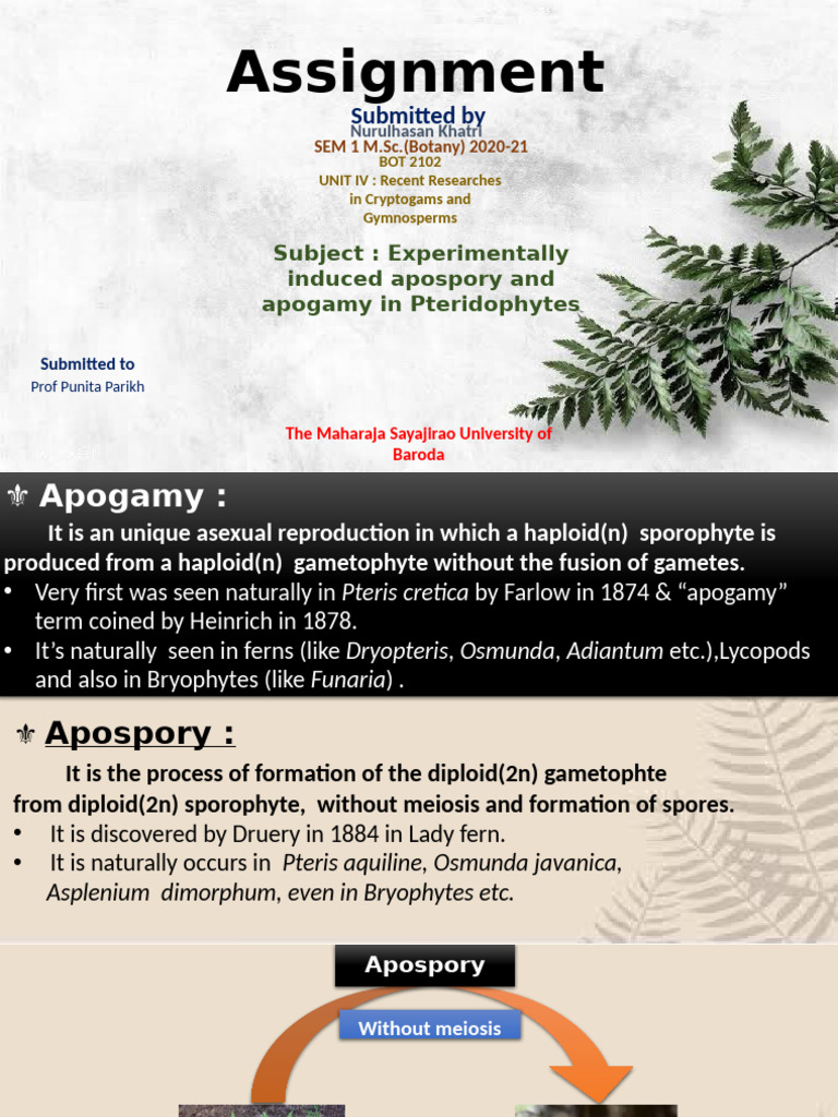 Induced Apogamy and Apospory in Pteridophytes | PDF | Ploidy | Plants