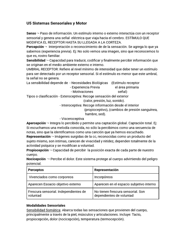 U5 Sistemas Sensoriales y Motor | PDF | Escuchando | Percepción visual