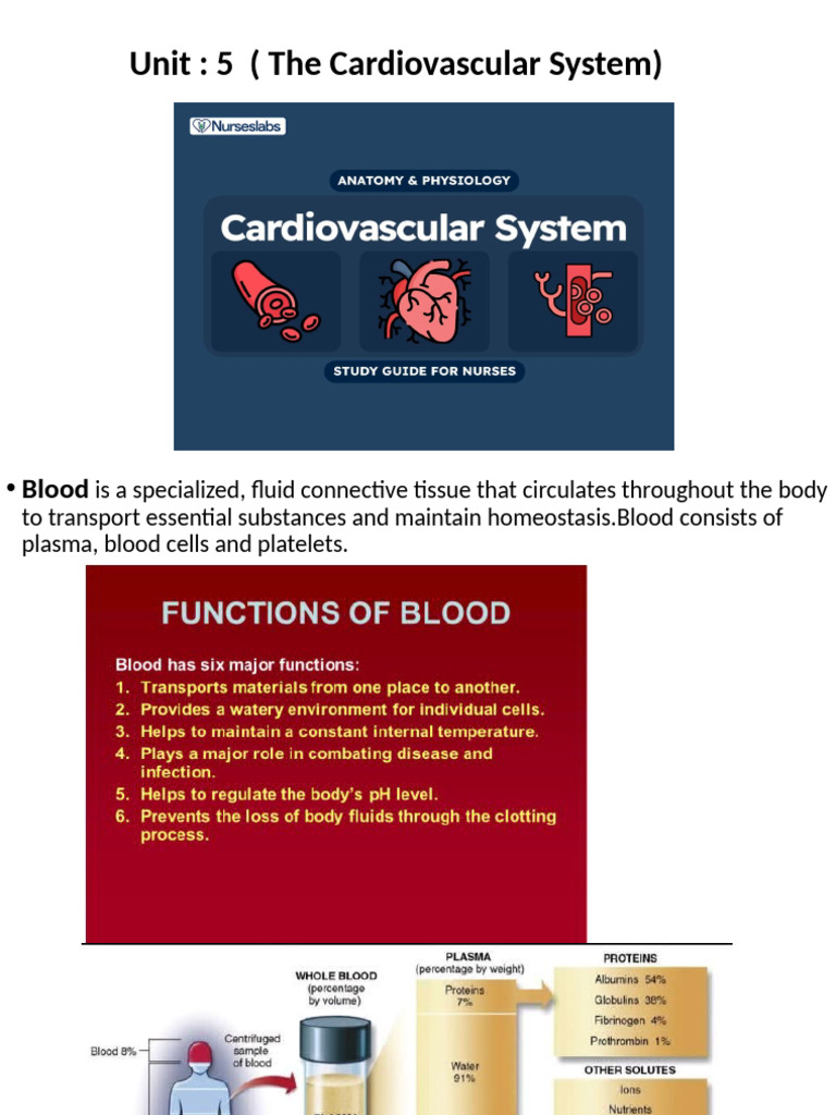 Unit 5 Cardiovascular System | PDF | Heart Valve | Heart