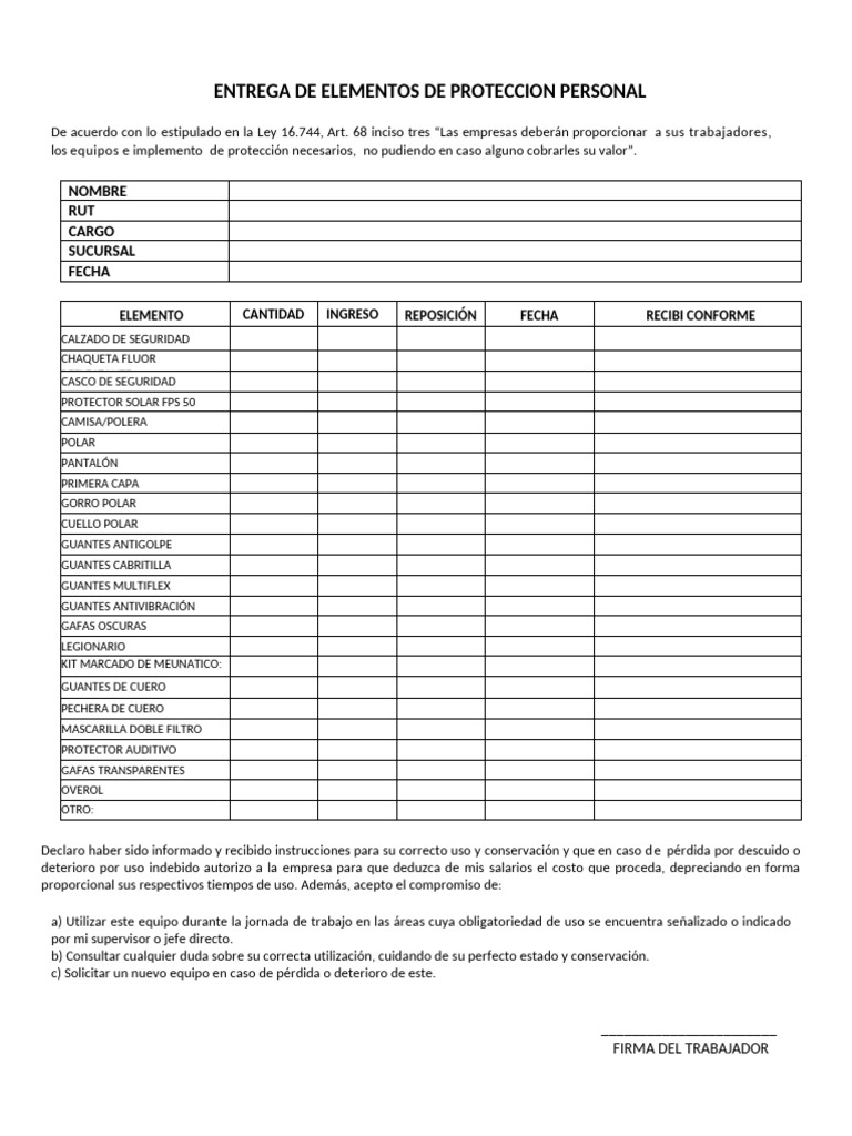 Registro de Entrega EPP 2024 | PDF