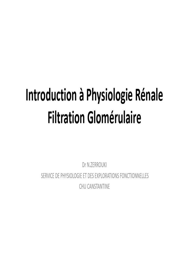 Anatomie et Physiologie Rénale | PDF | Rein | Appareil urinaire
