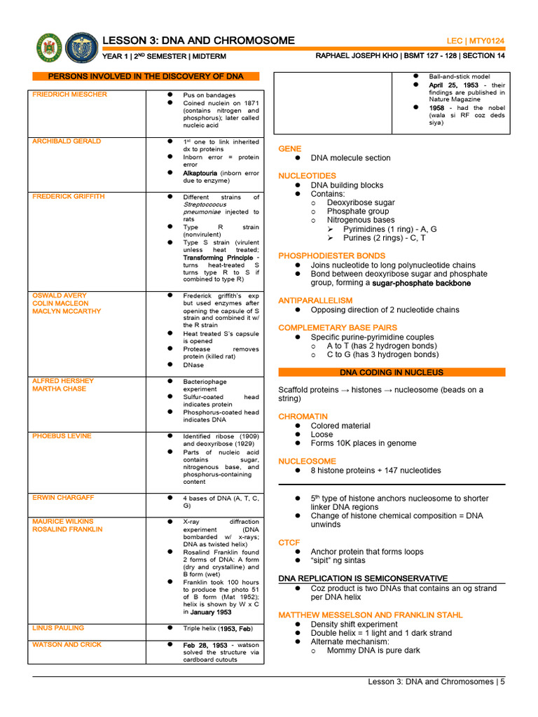 3-Dna and Chromosomes | PDF | Dna | Dna Replication