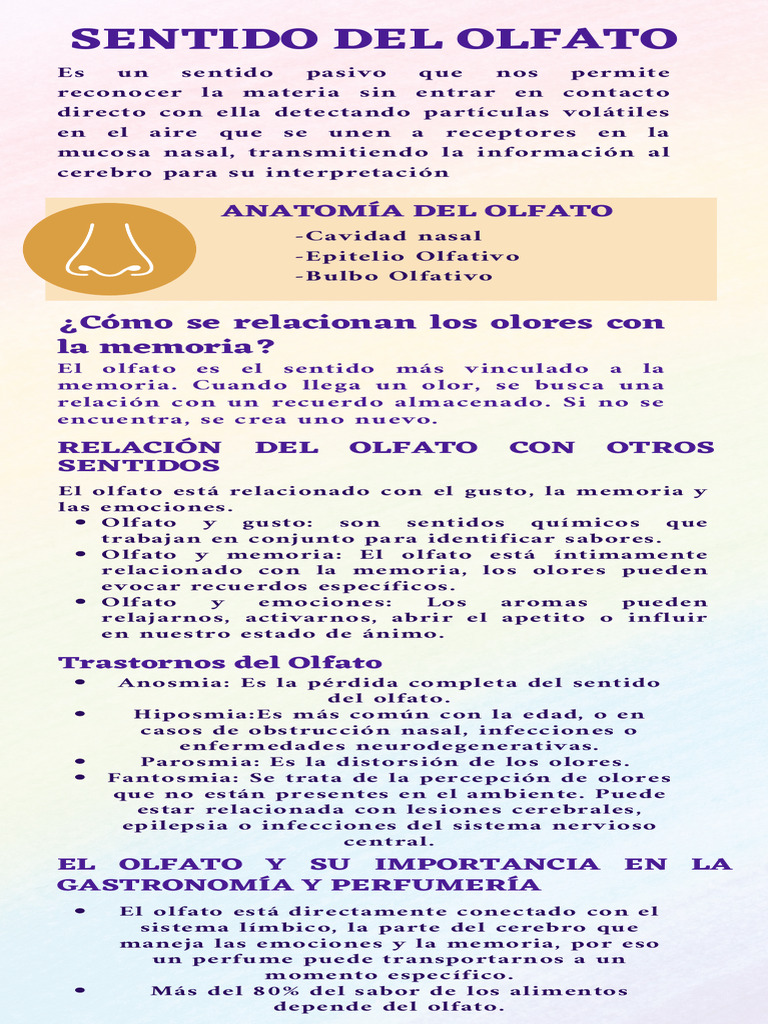OLFATO | PDF
