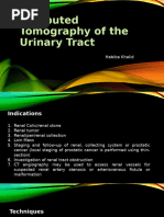 CT Urography: Techniques & Protocols | PDF | Ct Scan | Kidney