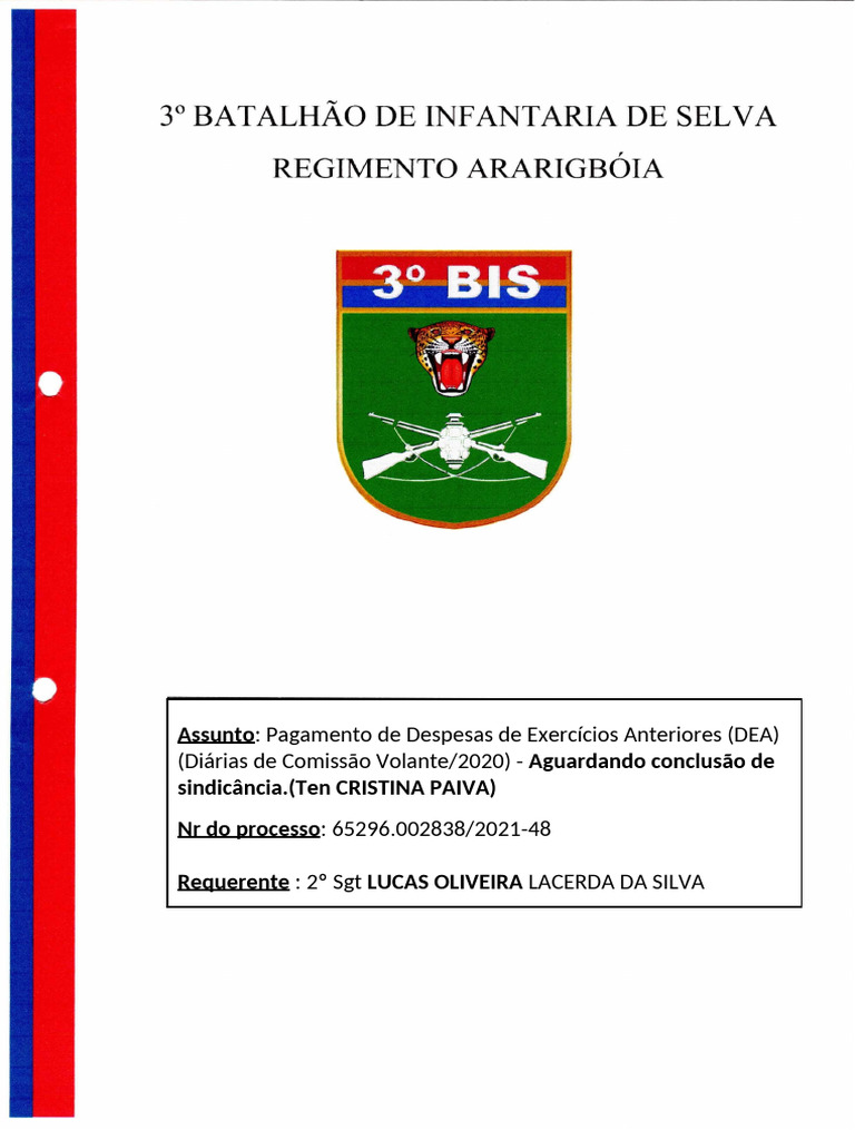 Capa de Processo DEA | PDF