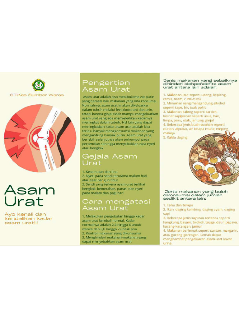 Leaflet Asam Urat | PDF