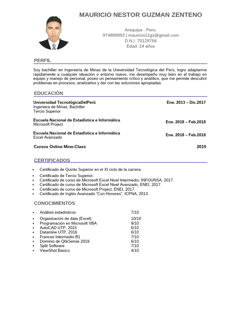 CV Mauricio Guzman - Te Lo Resumo | PDF | Perforación | Perforar