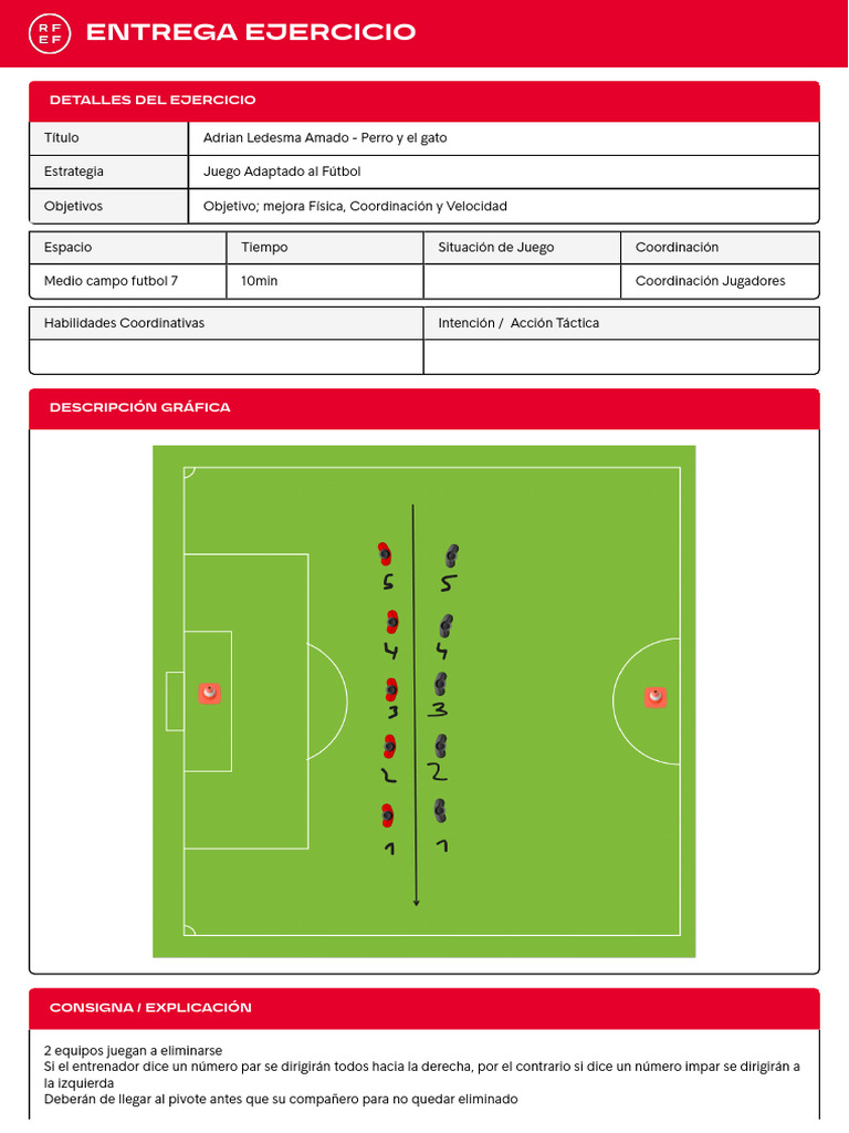 Perro y El Gato | PDF