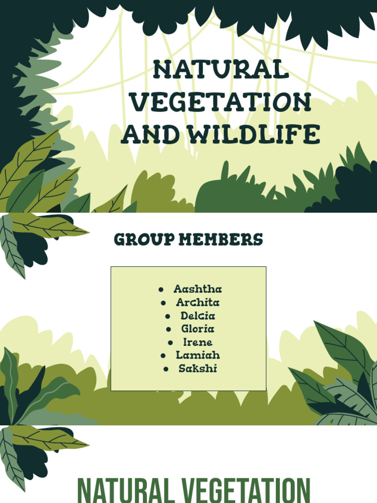 Geography - Natural Vegetation and Wildlife-1 | PDF | Forests | Grassland