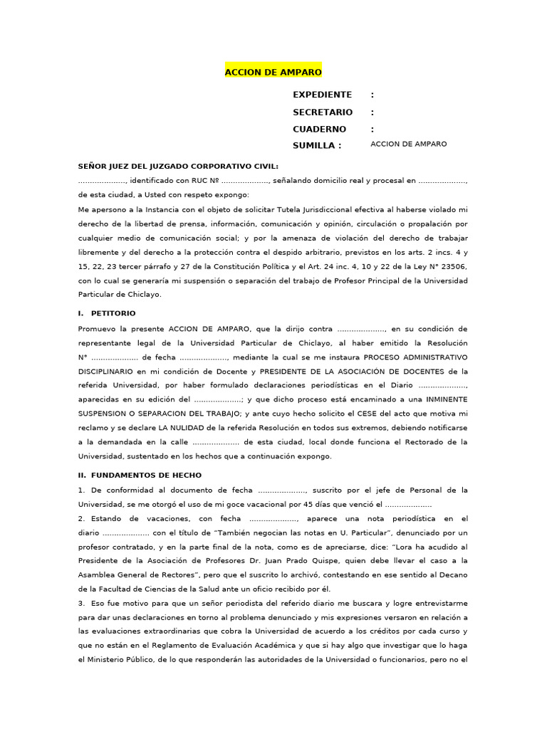 Accion de Amparo | PDF | Derecho Constitucional | Constitución
