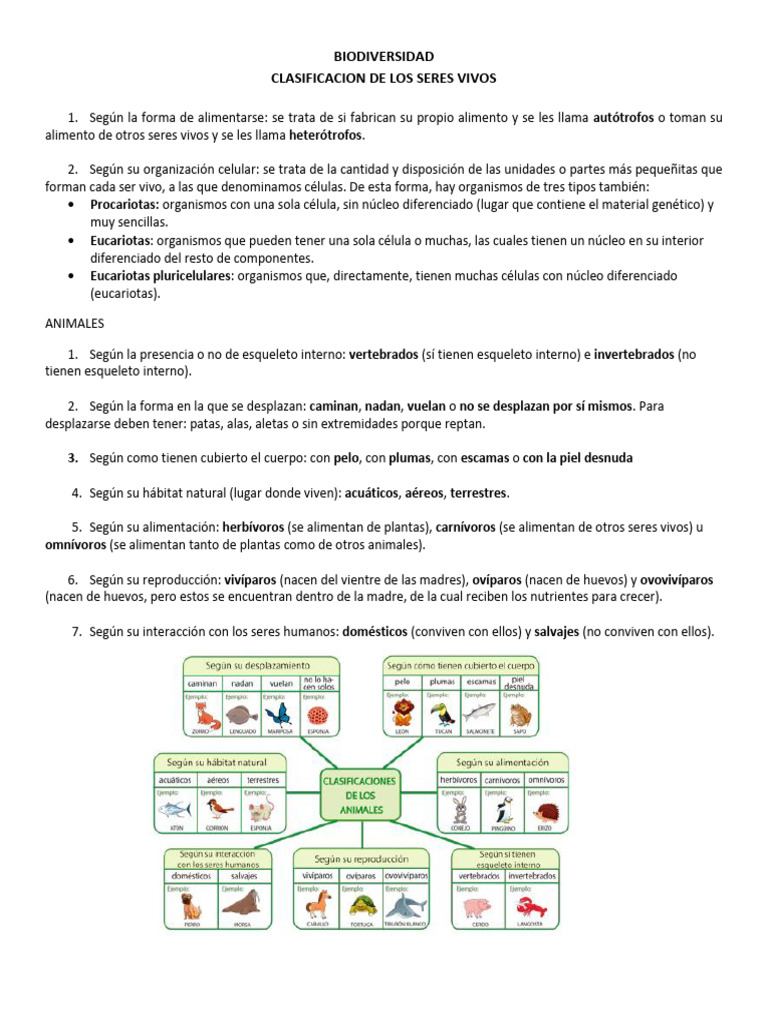 Bio Divers I Dad | PDF | Plantas | Organismos