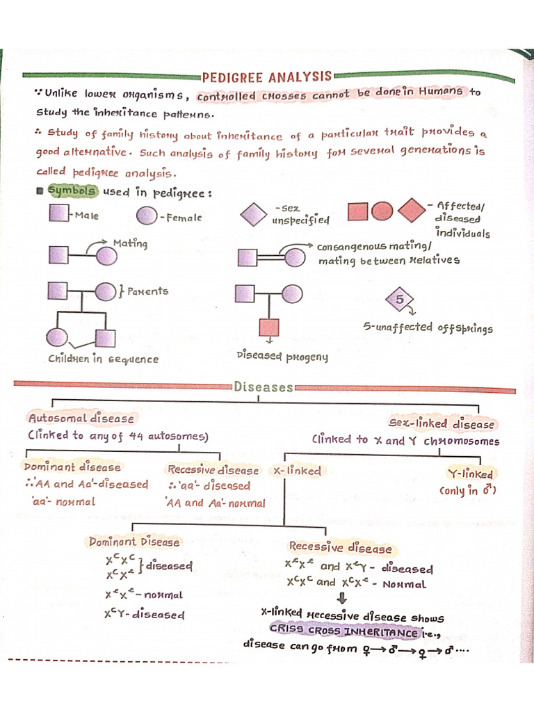 Pedigree and Disorders | PDF